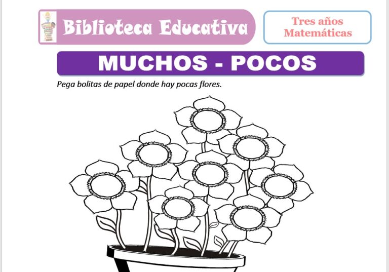 Muchos - pocos para Nivel inicial de tres años – Biblioteca Educativa