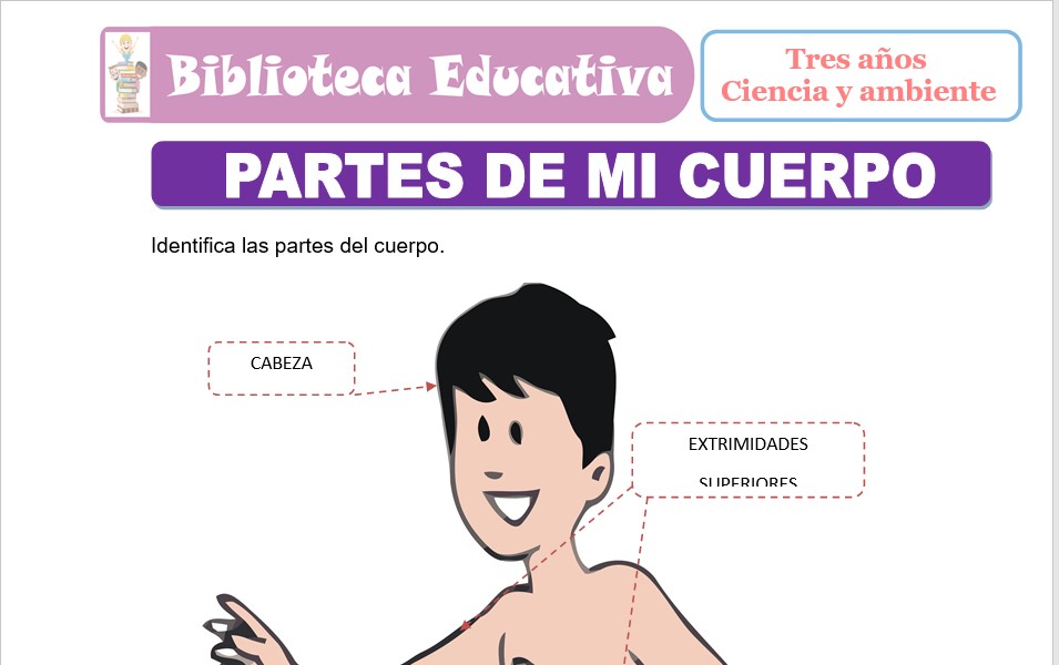 Partes De Mi Cuerpo Para Nivel Inicial De Tres Años Biblioteca Educativa