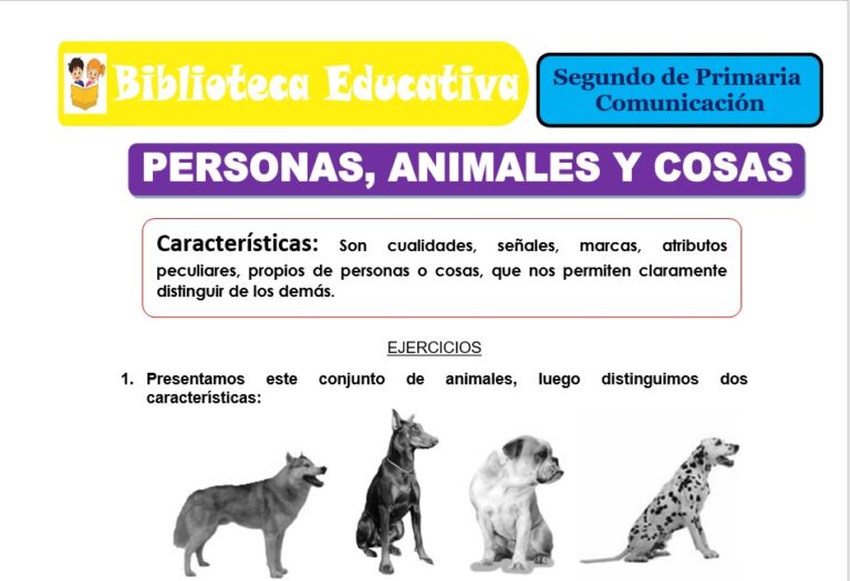 Personas, animales y cosas para Segundo de Primaria – Biblioteca Educativa