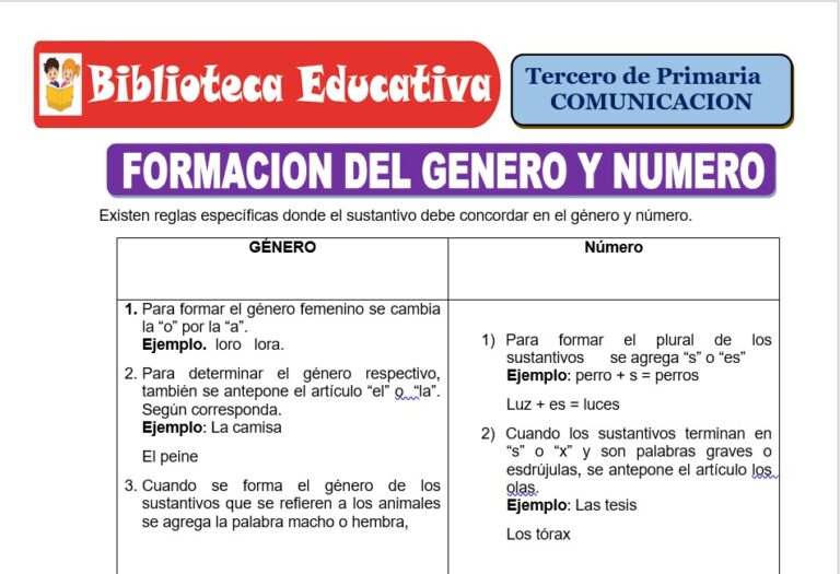 Formación del género y número para Tercero de Primaria – Biblioteca ...