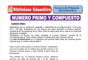 Número primo y compuesto para Tercero de Primaria – Biblioteca Educativa